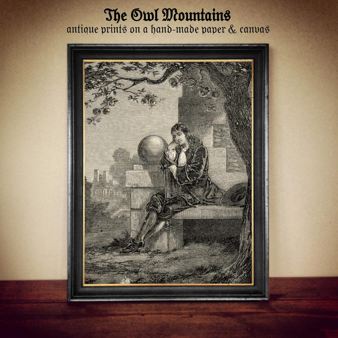 Sir Isaac Newton Under Apple Tree 1600s Engraving Print Vintage Science ...