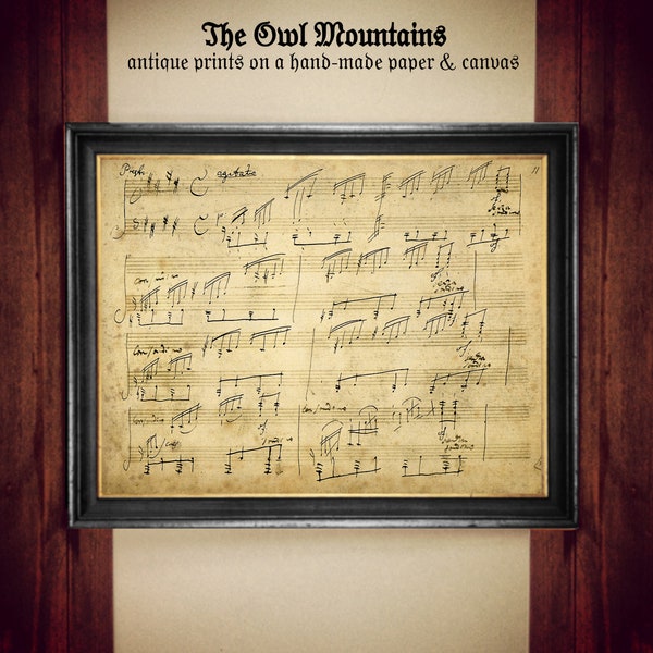 Ludwig Van Beethoven - Etsy