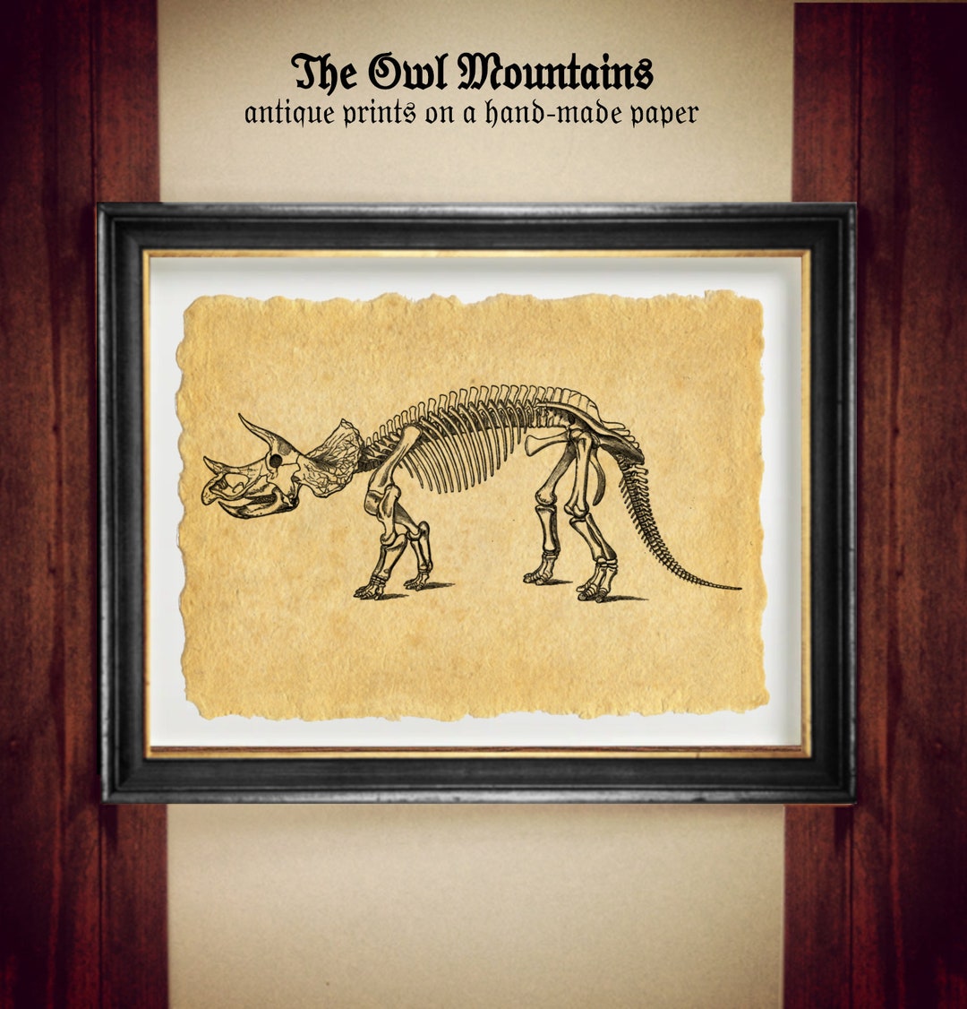 Triceratops Skeleton, a Chasmosaurine Ceratopsian Dinosaur Poster ...