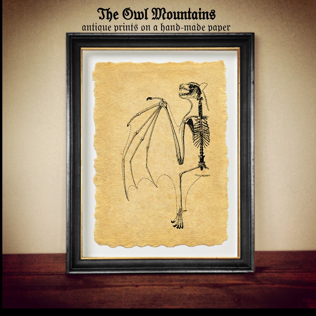 Bat Skeleton Print - Spooky Gothic Wall Art for Gothic Decor, Macabre ...
