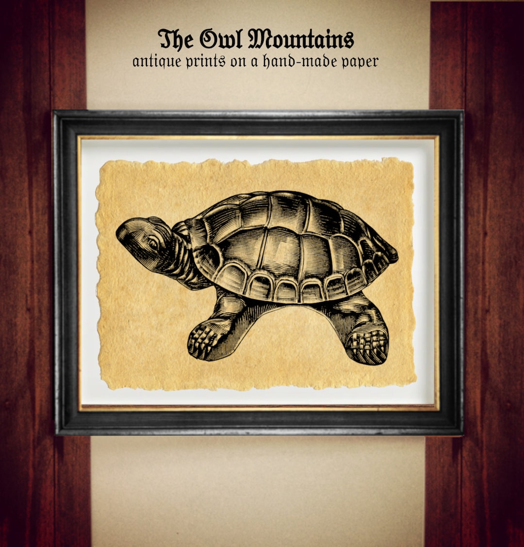 Turtle Symbol Good Luck, Long Life, and Protection, Print on a Hand ...