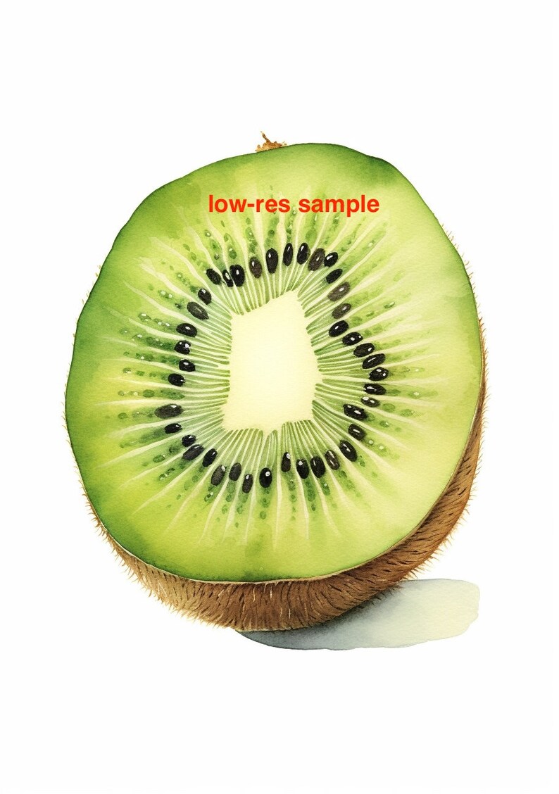 Digital Watercolour Print Kiwi for Wall Art, Vintage Still Life ...