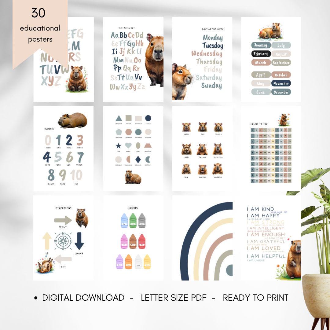 Capybara Alphabet Poster: Educational ABC Printable for Kids (PDF ...