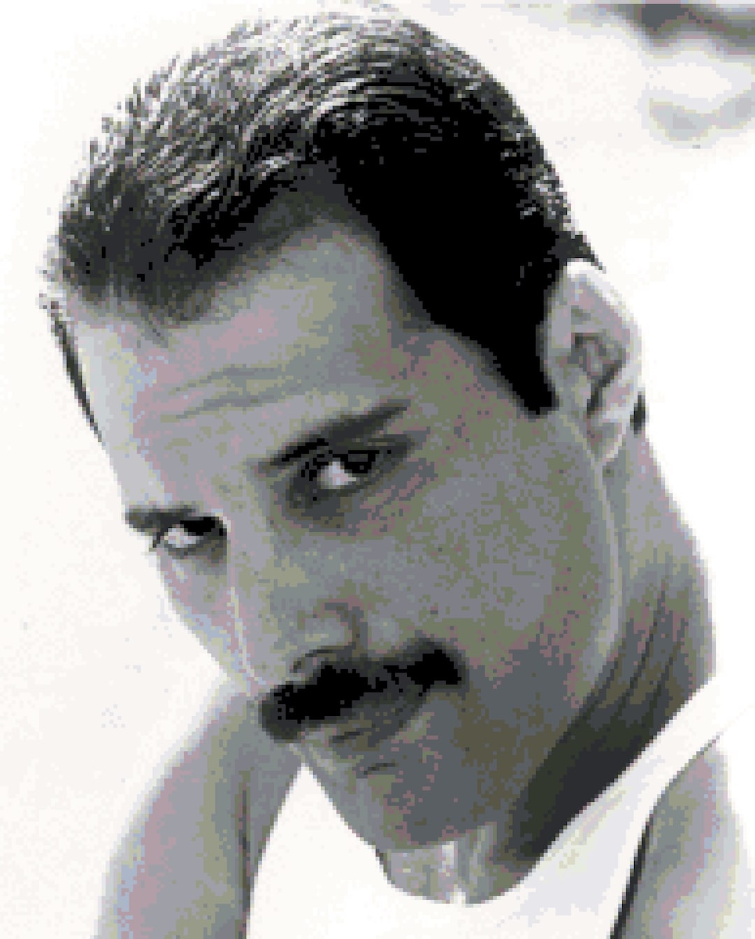 FREDDIE MERCURY Cross Stitch Pattern DMC Colors - Etsy