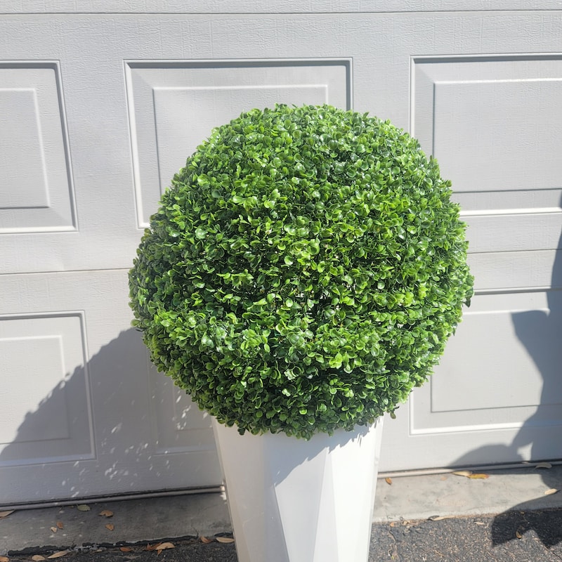 Topiaries - Etsy