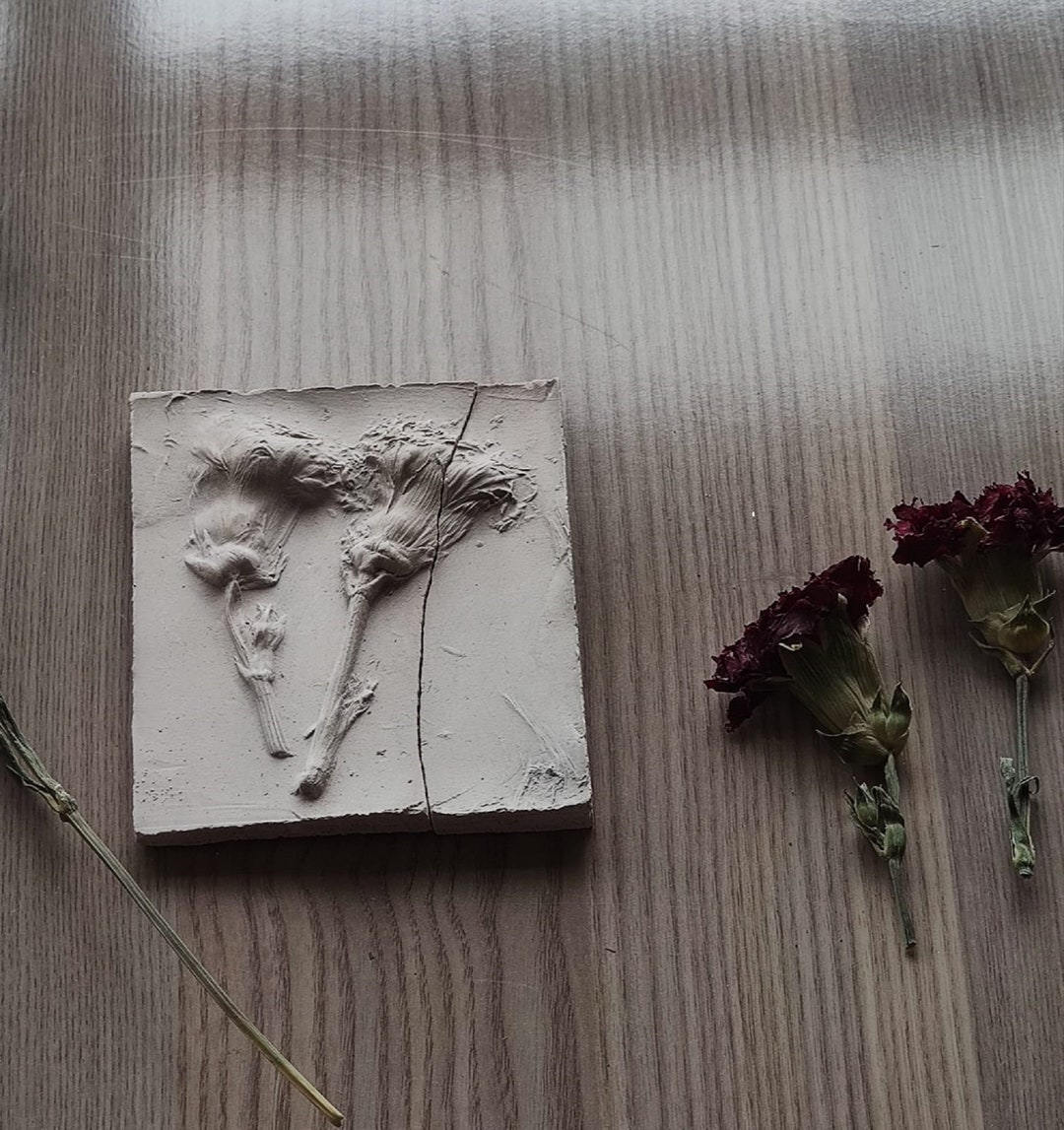 Chrysanthemum, Limited Edition, Plaster Cast Wall Art 20 X 20cm 8 X 8 ...