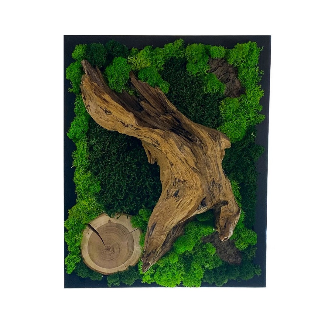 Picture With Moss, Wood Slice, Bark and Wooden Disk 37×30 Cm - Etsy