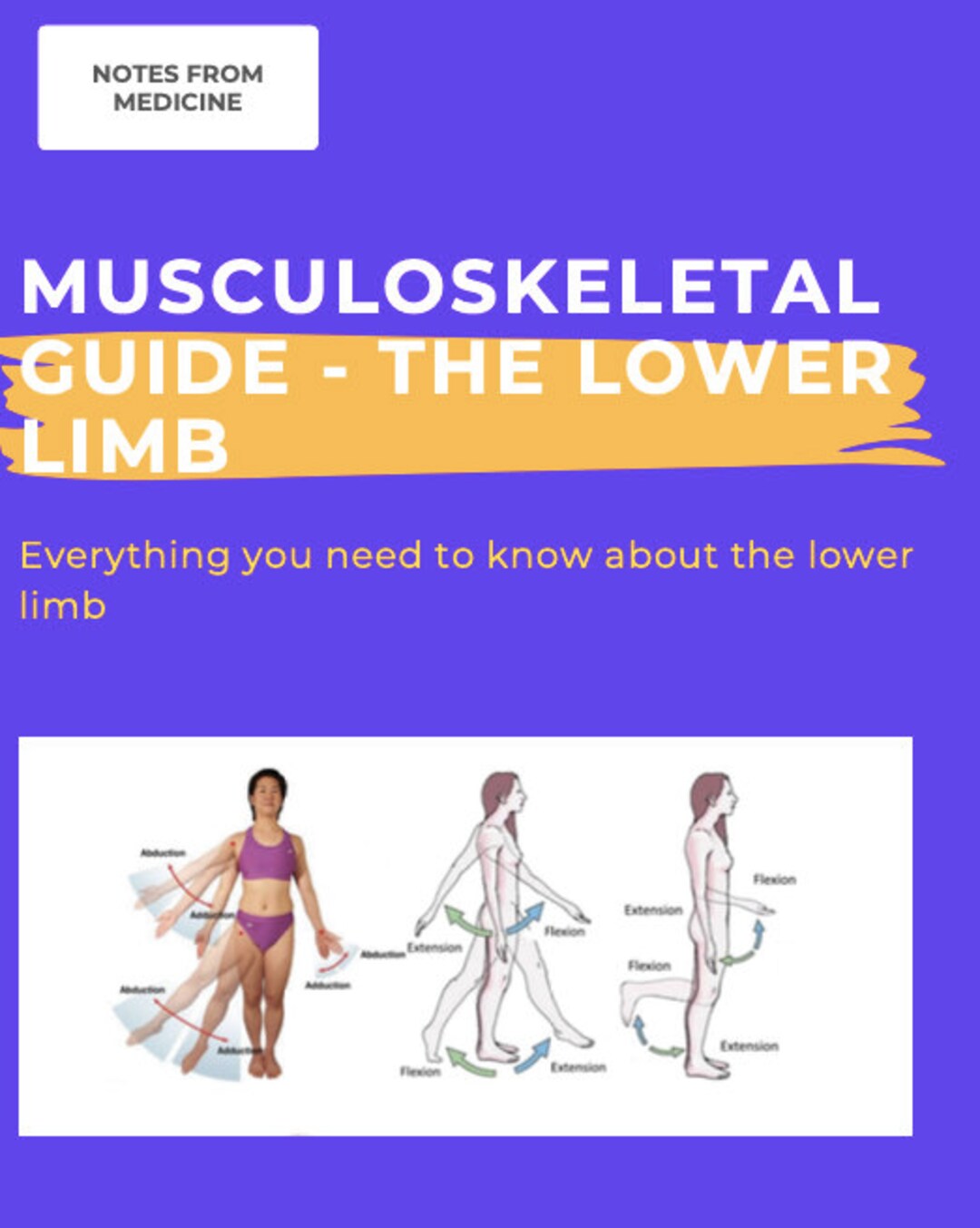 Musculo-skeletal Physiotherapy Lower Limb Lecture Notes - Etsy