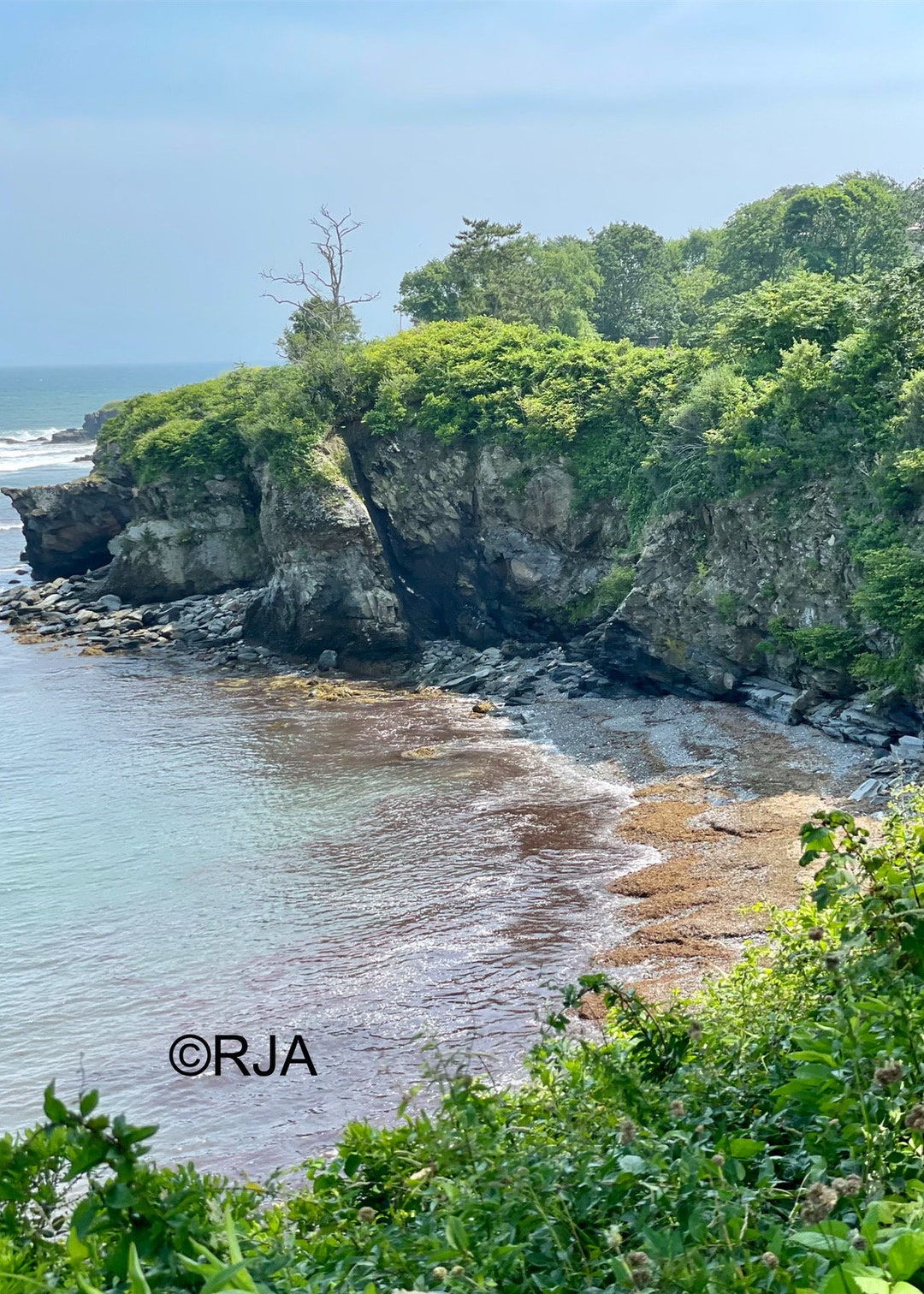 Newport Rhode Island Ocean Rocks Photo, Salve Regina College Landscape ...