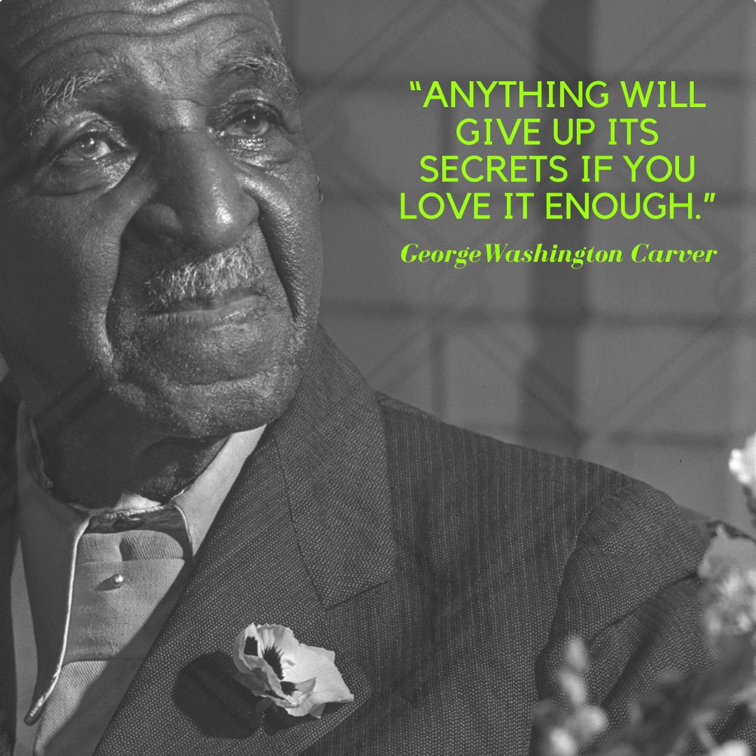 George Washington Carver: Anything Will Give up Its Secrets If You Love ...