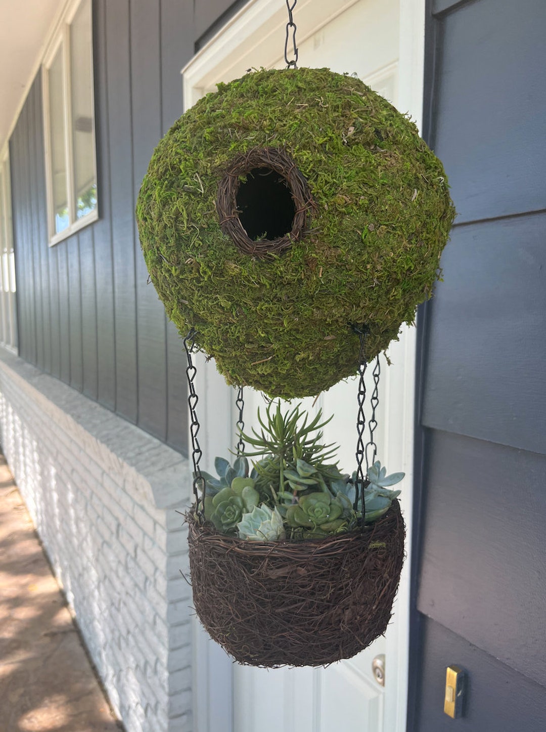 DIY Succulent Kit Air Balloon Planter - Etsy