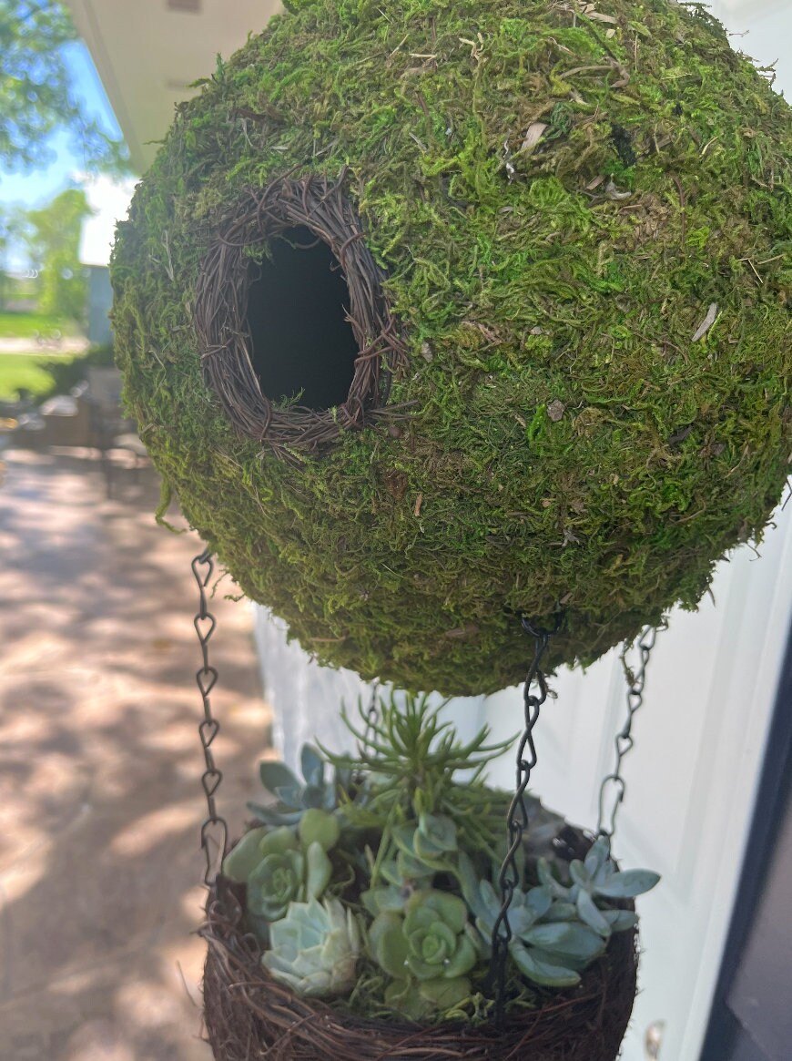 DIY Succulent Kit Air Balloon Planter - Etsy