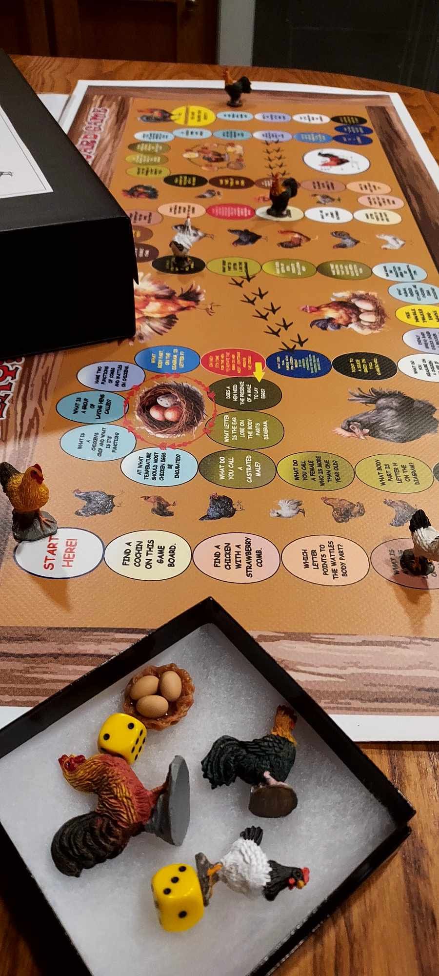 FOWL PLAY? Educational Chicken Board Game - Etsy