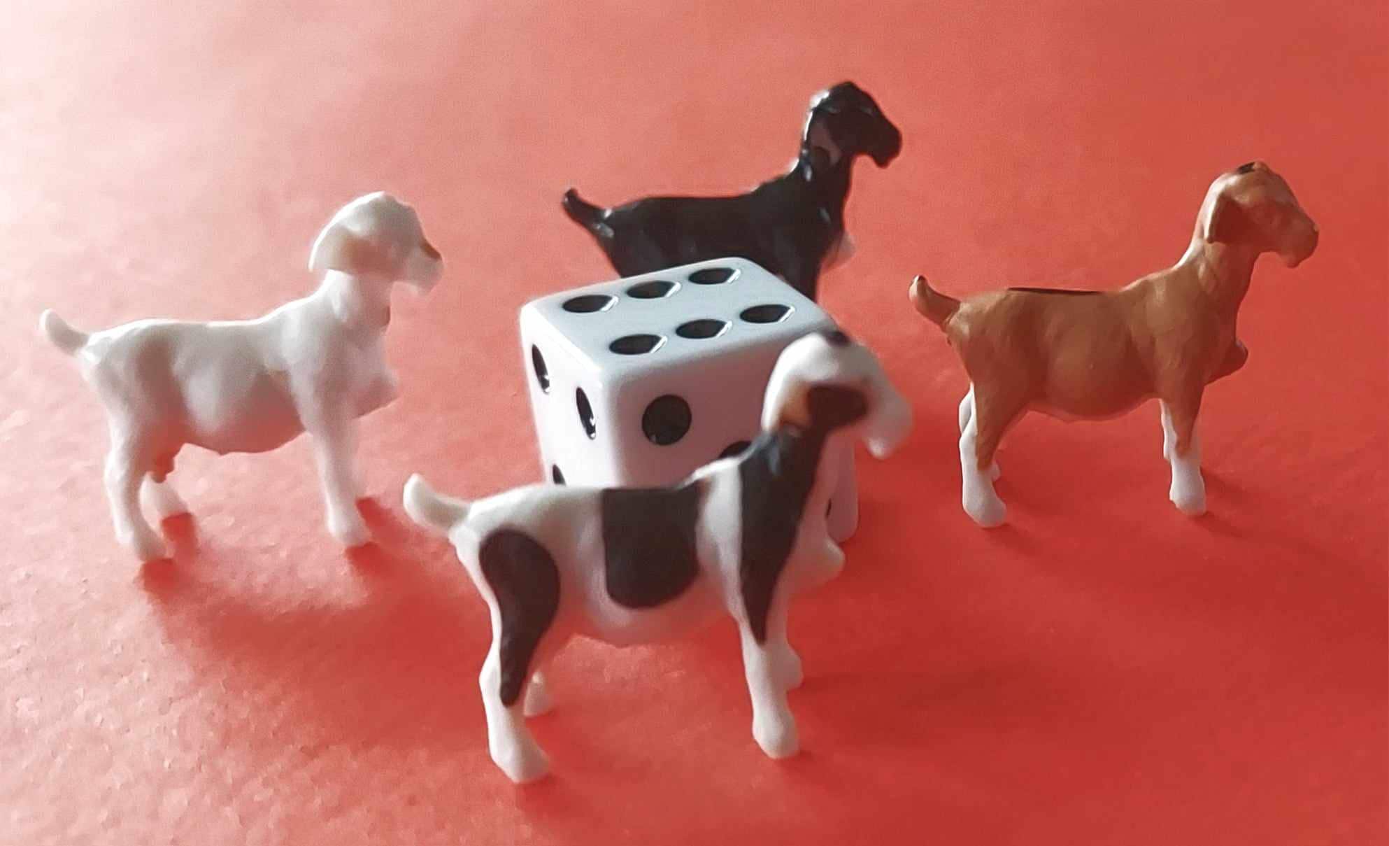 Dairy Goat Educational Board Game Champion Challenge/master Class Level ...