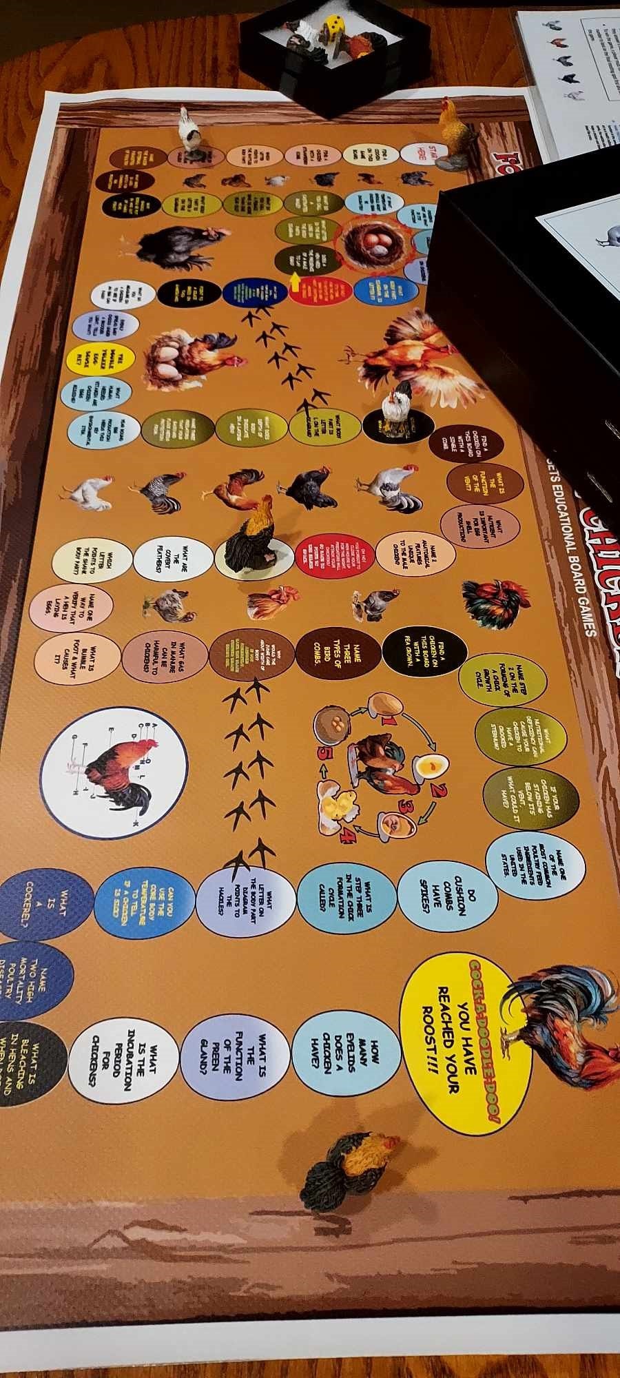 FOWL PLAY? Educational Chicken Board Game - Etsy