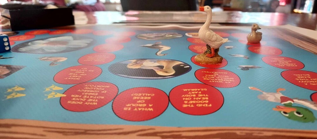 Water Fowl Play? as Goat as It Gets Educational Duck and Goose Board ...
