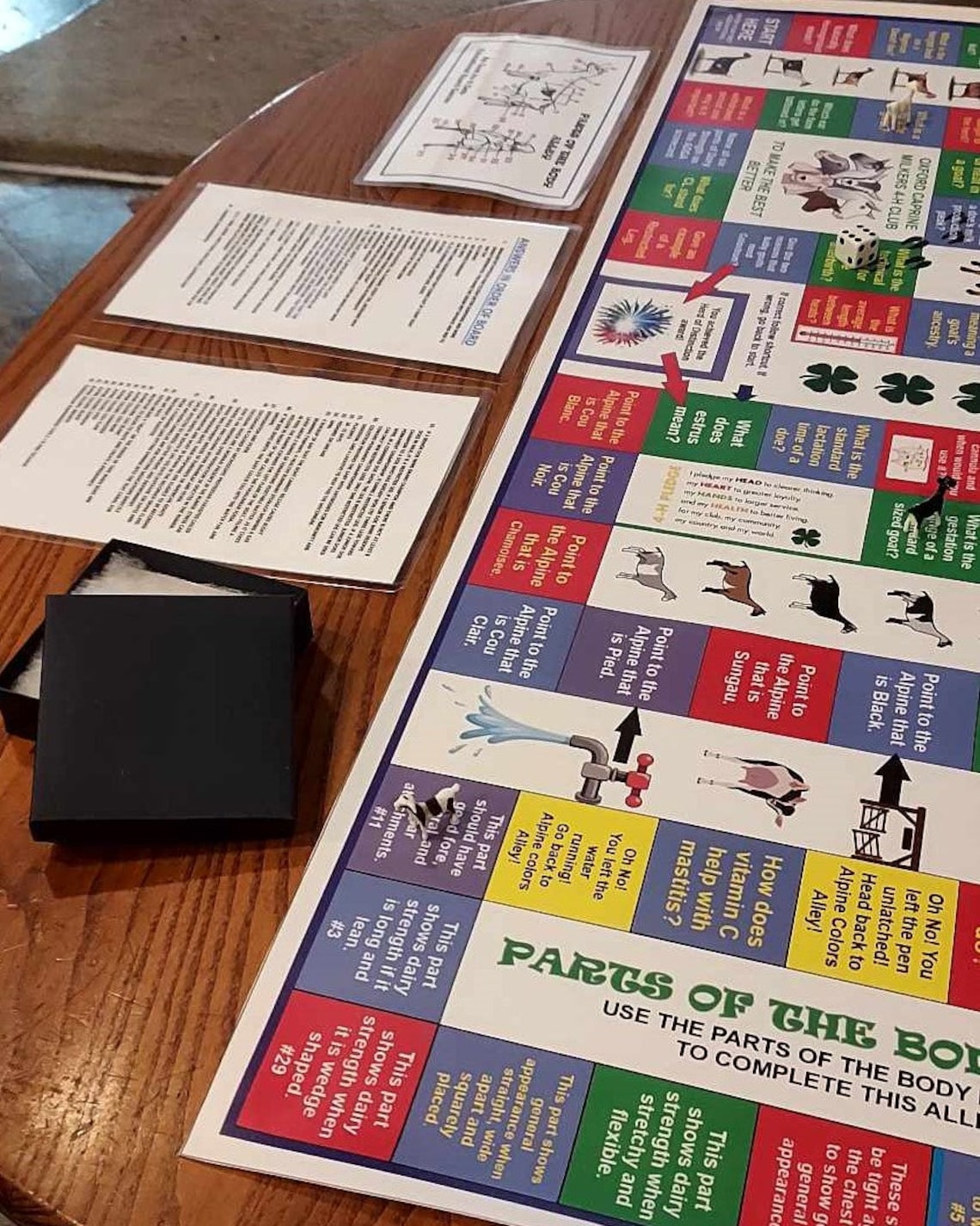 Dairy Goat Educational Board Game Junior Level/2-5 Years Experience - Etsy