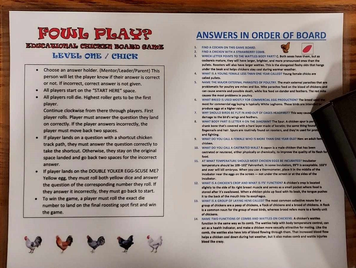 FOWL PLAY Educational Chicken Board Game - Etsy