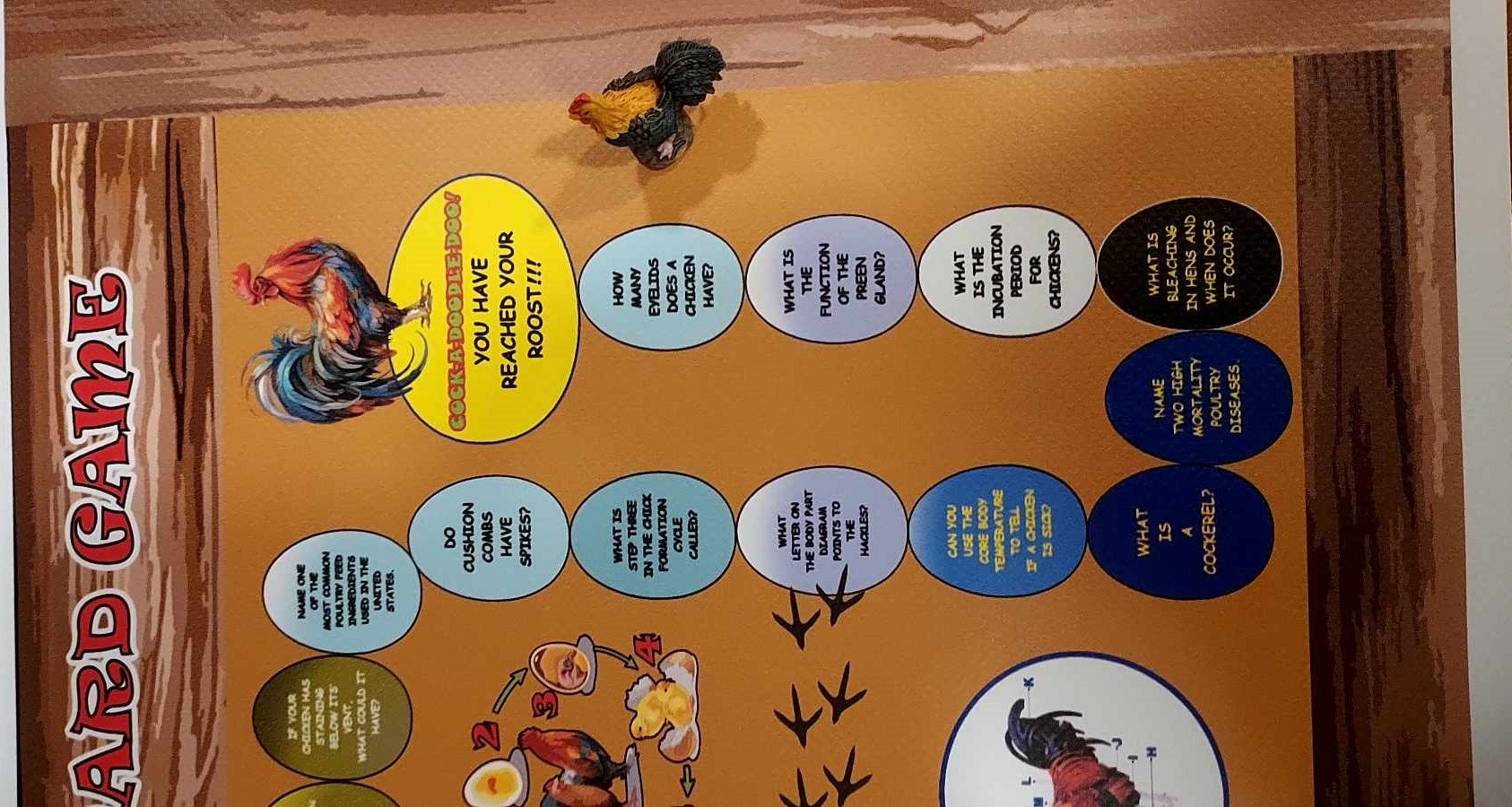 FOWL PLAY? Educational Chicken Board Game - Etsy