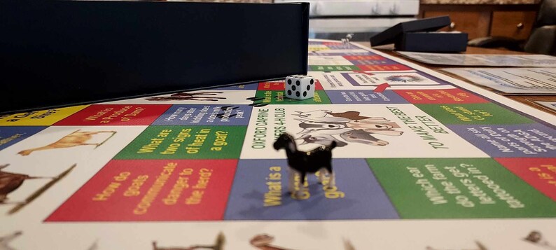 As Goat as It Gets Dairy Goat Board Game - Clover Bud/first Year Level ...