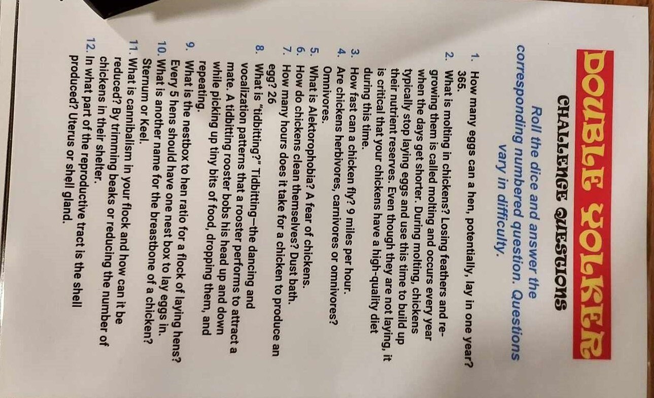 FOWL PLAY Educational Chicken Board Game - Etsy