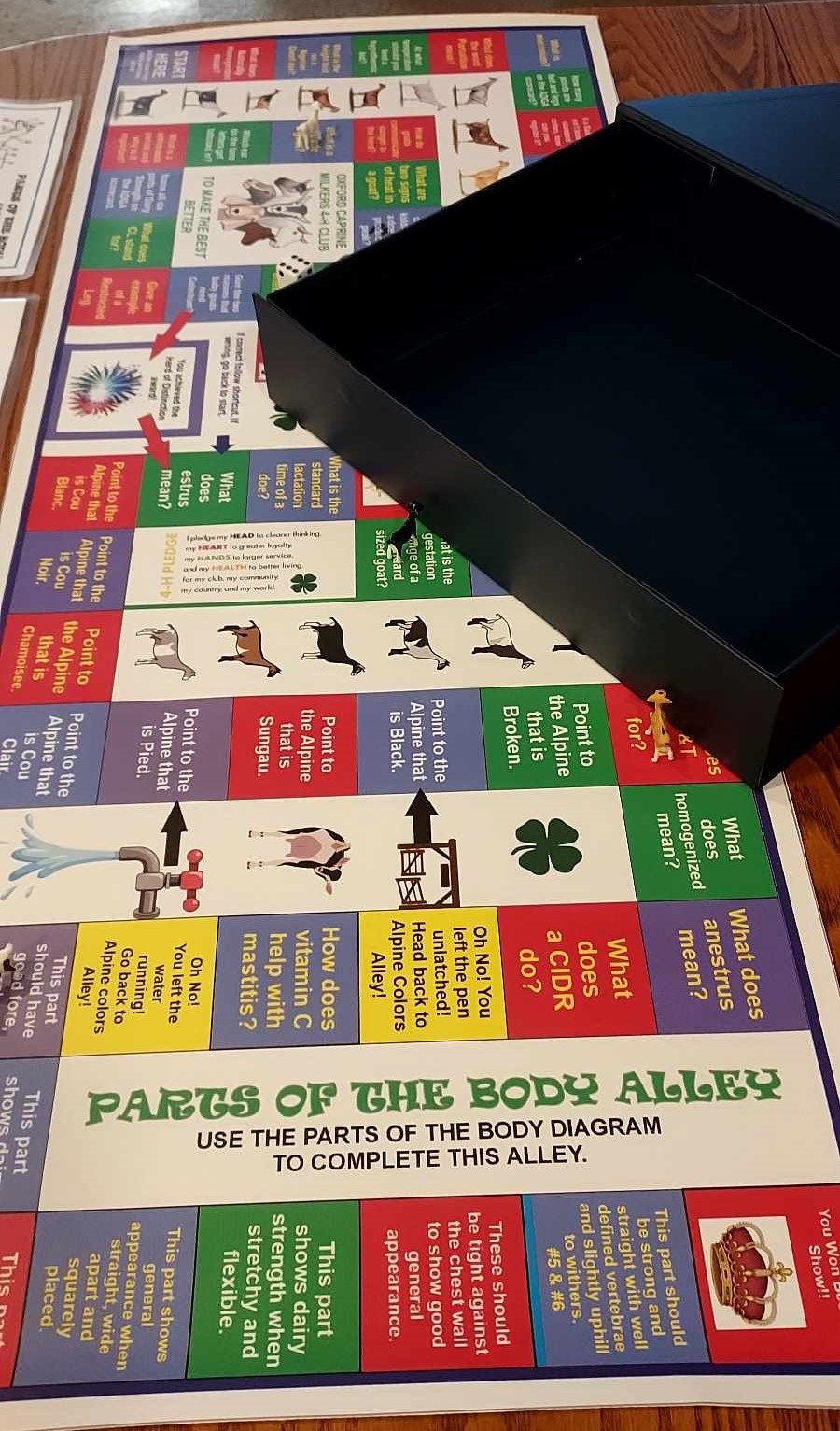 Dairy Goat Educational Board Game Junior Level/2-5 Years Experience - Etsy