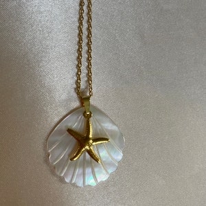 Stainless Steel Seashell Mother of Pearl Pendant Necklace Akoya Natural ...