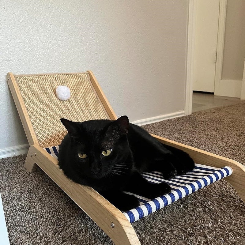 Unique Cat Bed - Etsy
