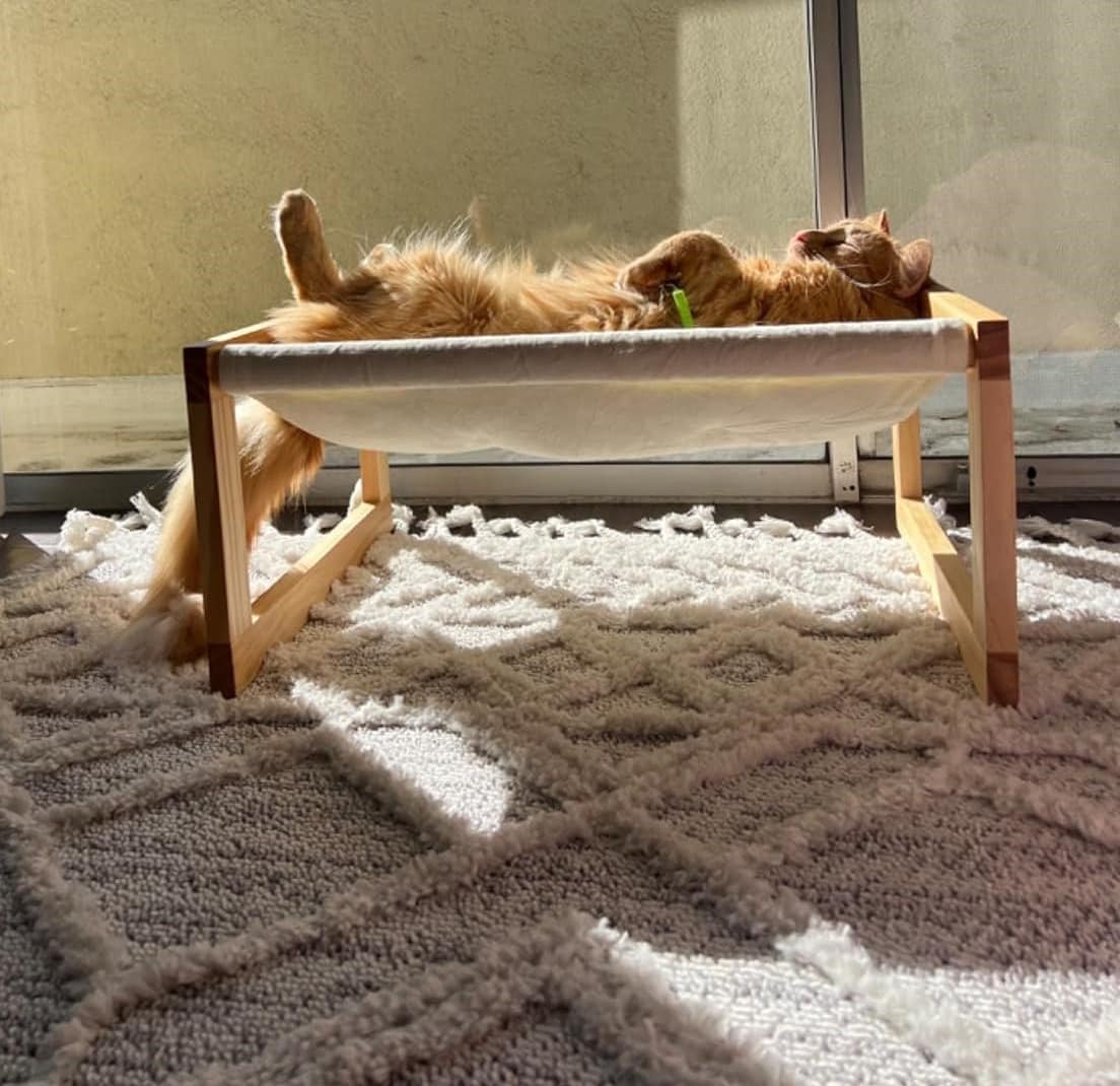 Plush Velvet Cat Bed Indoor Cats Featuring Wooden Cat Hammock Cat Couch ...