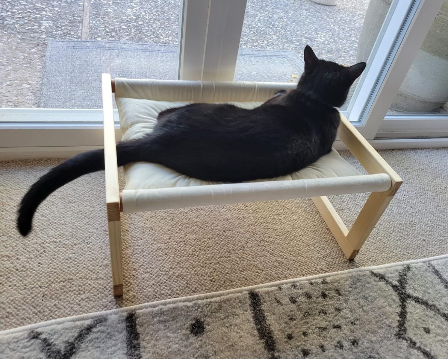 Plush Velvet Cat Bed Indoor Cats Featuring Wooden Cat Hammock Cat Couch ...