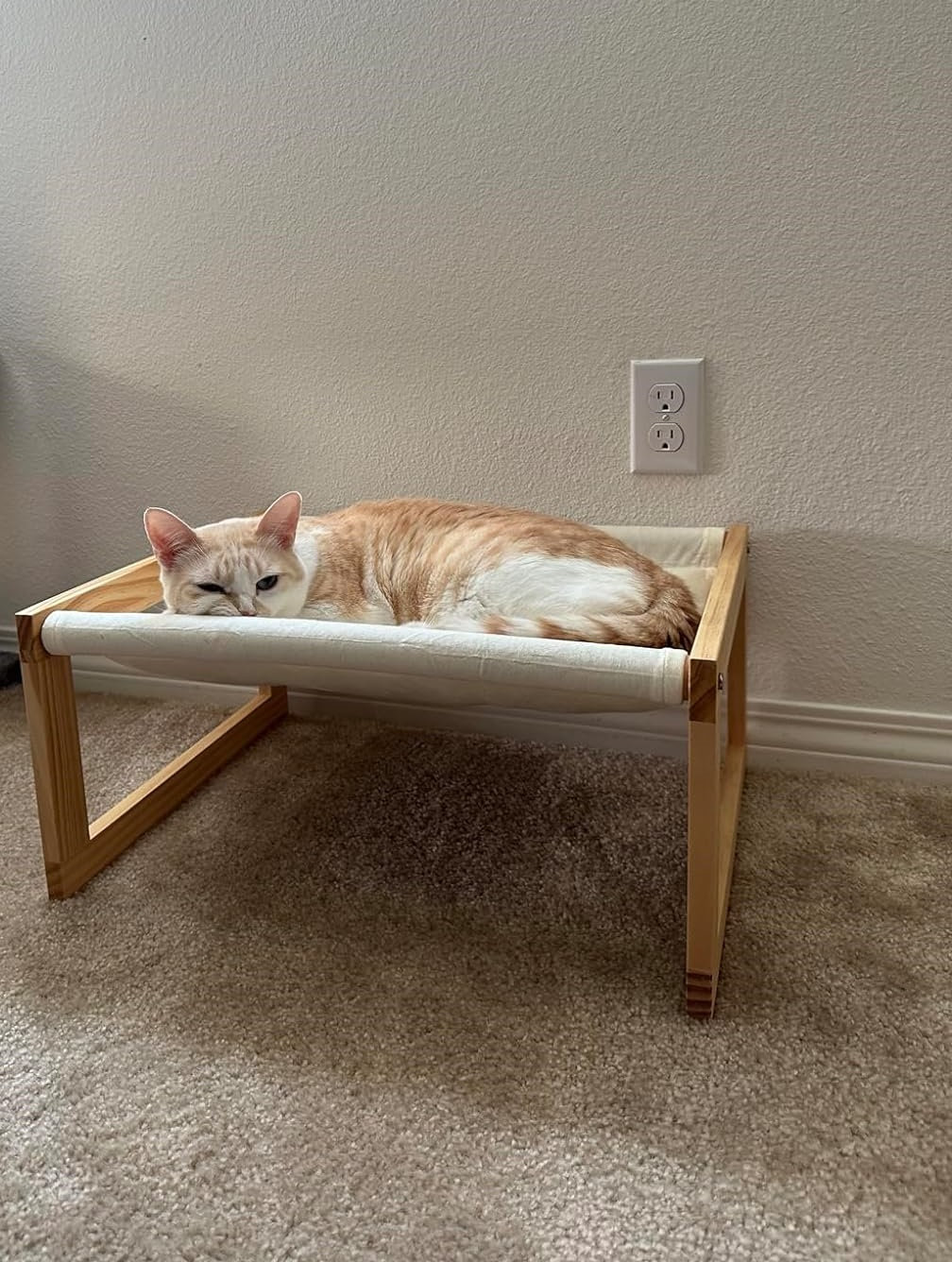 Plush Velvet Cat Bed Indoor Cats Featuring Wooden Cat Hammock Cat Couch ...