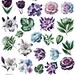 Purple Flower Collection: 50 Pngs, 26 A4 Backgrounds, 5 Cut-out Sheets ...