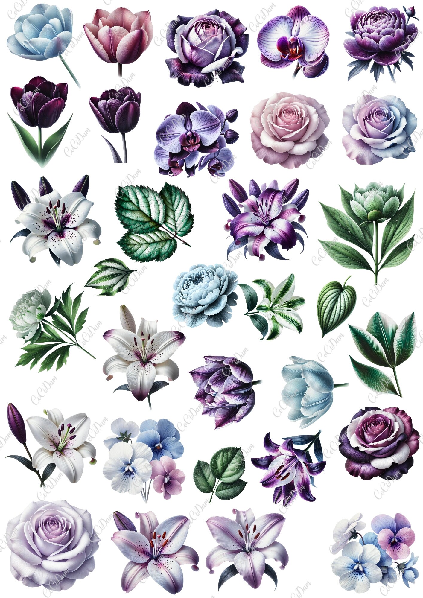 Purple Flower Collection: 50 Pngs, 26 A4 Backgrounds, 5 Cut-out Sheets ...