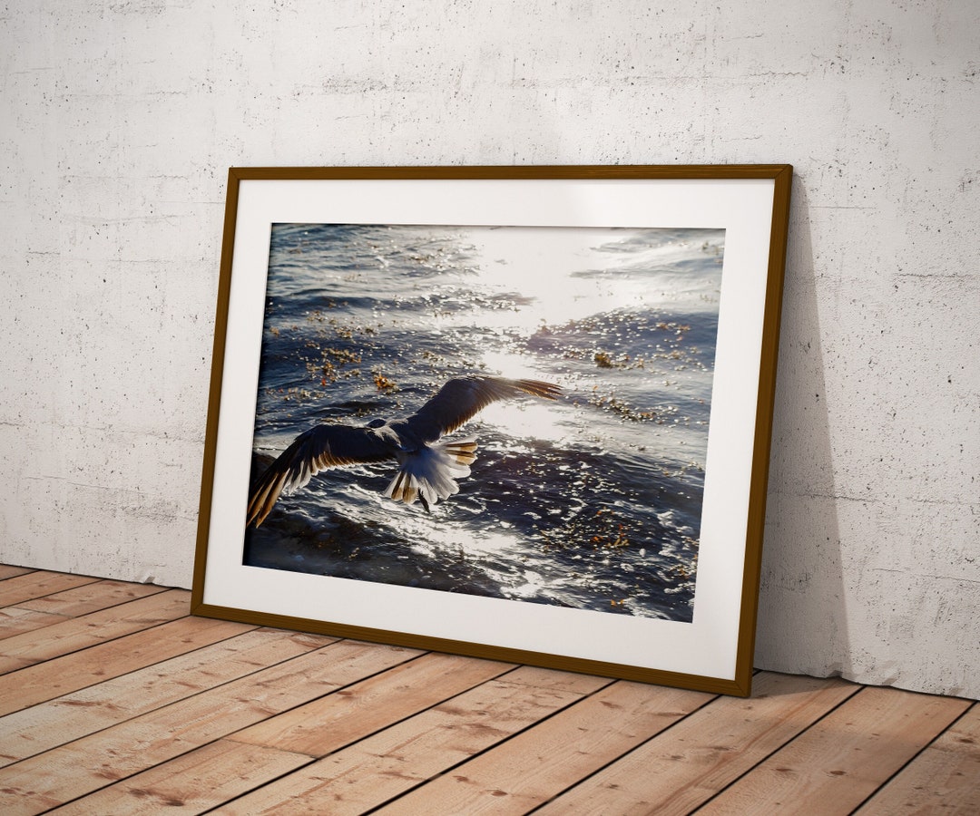 Printable Flying Seagull Photo | Instant Download Bird in Flight ...