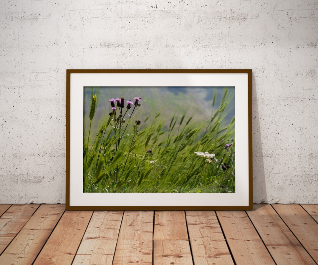 Wildflower Photography Print | Nature Wall Decor | Wildflower Meadow ...