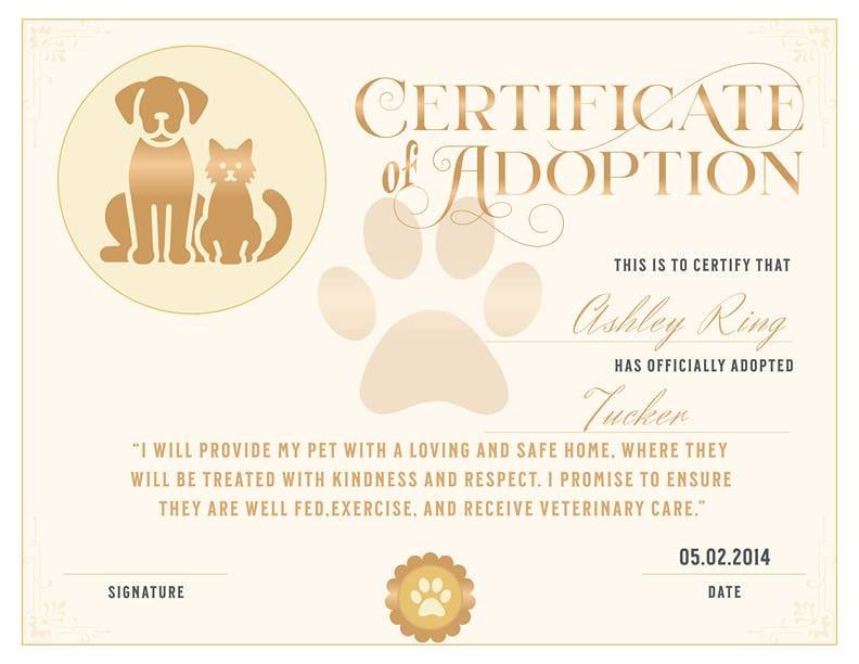 Custom Pet Adoption Certificate,printable Certificate of Adoption,dog ...
