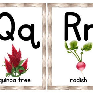 Letter Flashcards for Kids| Letter Posters | Alphabet Flashcards ...