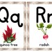 Vegetable Garden Alphabet Flashcards | Montessori Preschool (digital ...