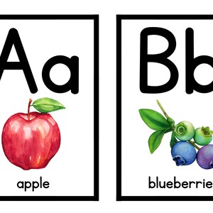 Alphabet Classroom Posters Fruit Themed | Alphabet Flashcards ...