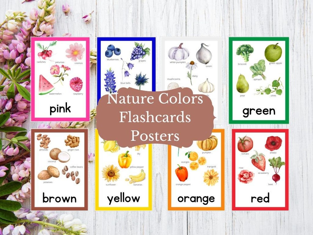 Color Flashcards for Toddlers Color Posters Flashcards for Preschool ...