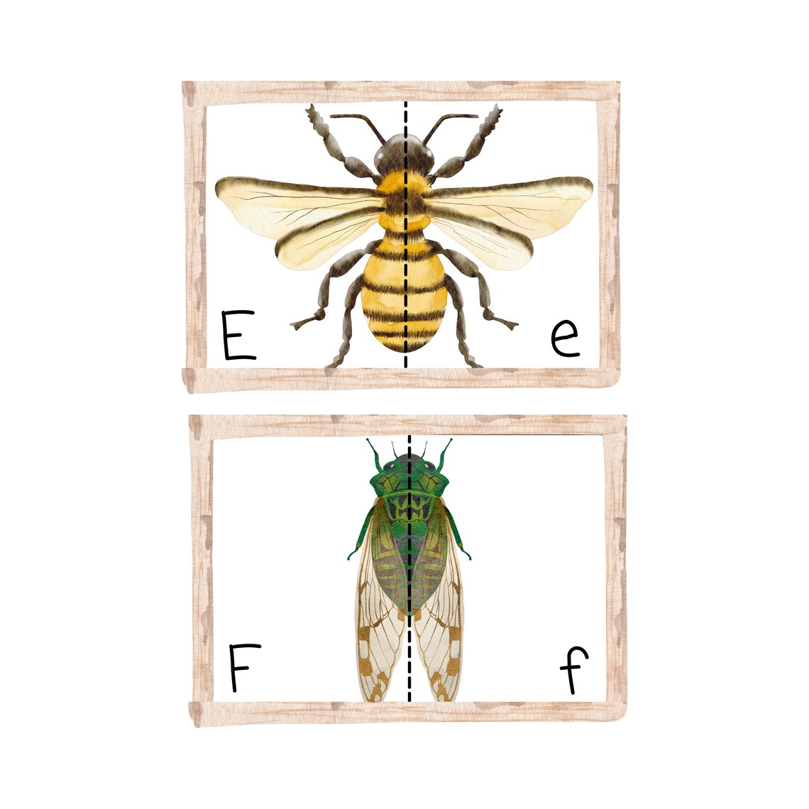 Insect Alphabet Flashcards Printable for Kids | Alphabet Match |letter ...