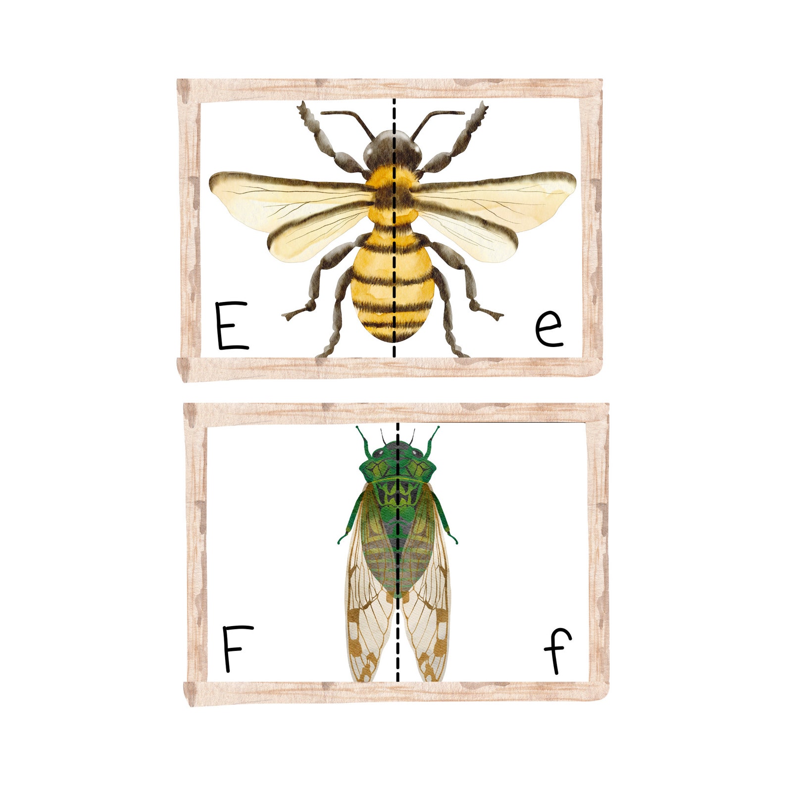 Insect Alphabet Flashcards Printable for Kids | Alphabet Match |letter ...