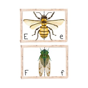 Insect Alphabet Flashcards Printable for Kids | Alphabet Match |letter ...