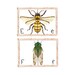 Insect Alphabet Flashcards Printable for Kids | Alphabet Match |letter ...