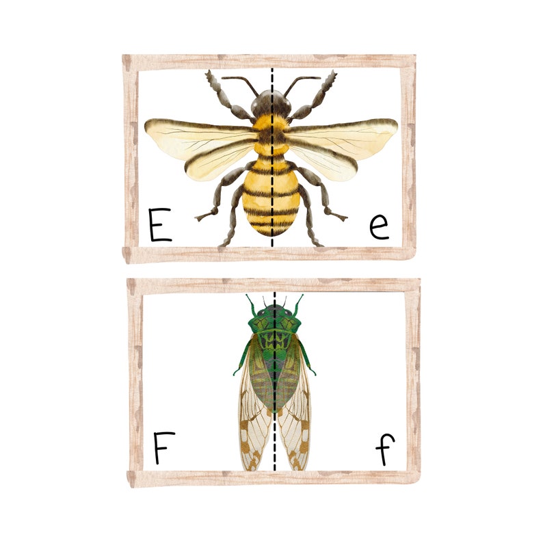 Insect Alphabet Flashcards Printable for Kids | Alphabet Match |letter ...
