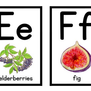 Alphabet Classroom Posters Fruit Themed | Alphabet Flashcards ...