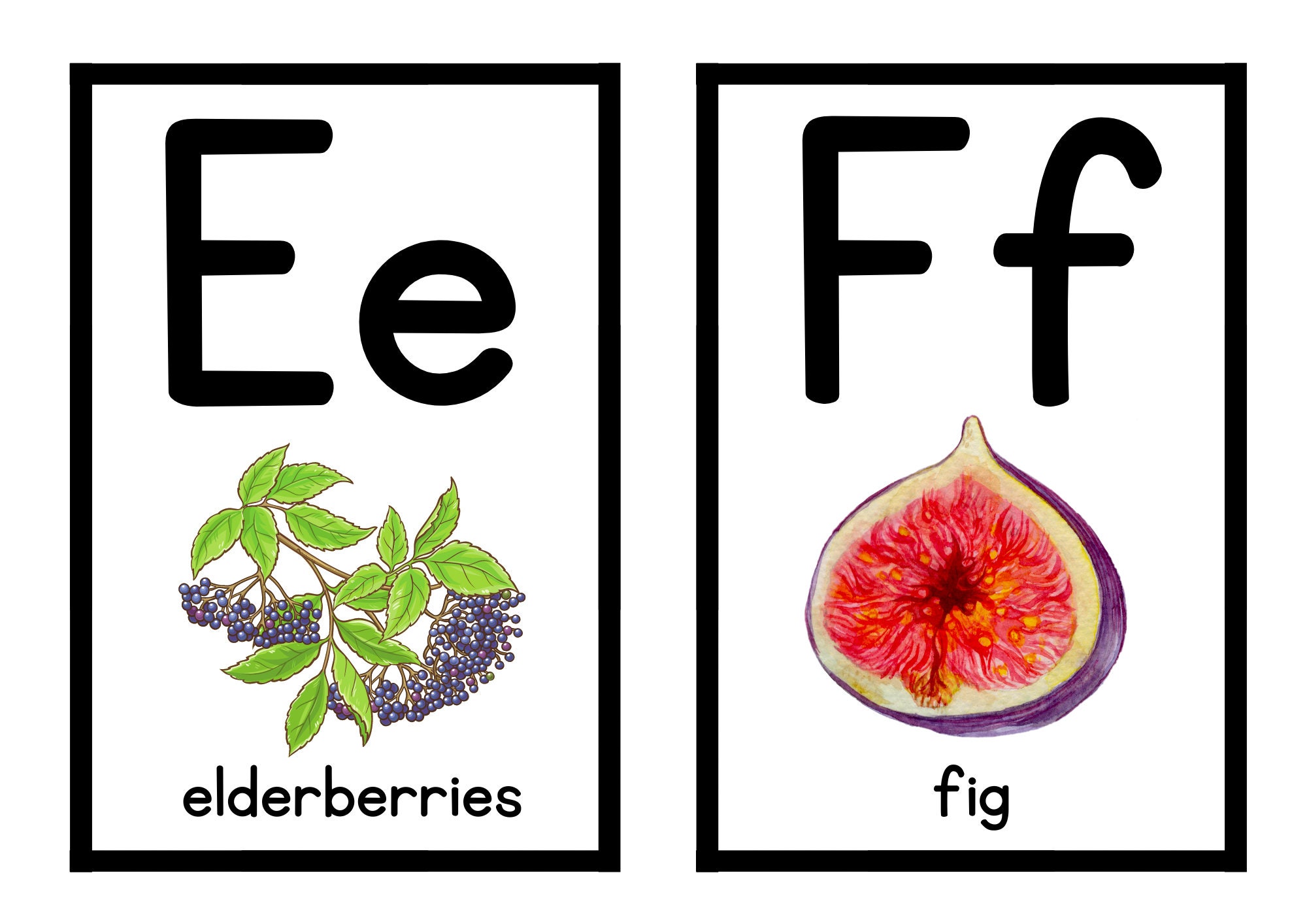 Alphabet Classroom Posters Fruit Themed | Alphabet Flashcards ...