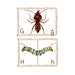 Insect Alphabet Flashcards Printable for Kids | Alphabet Match |letter ...