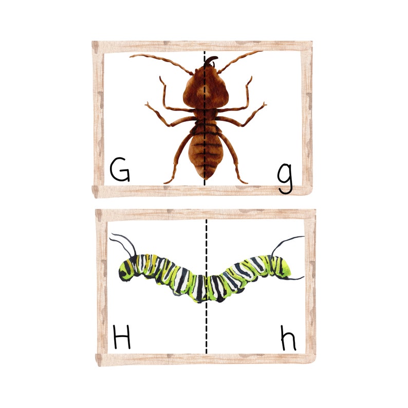 Insect Alphabet Flashcards Printable for Kids | Alphabet Match |letter ...