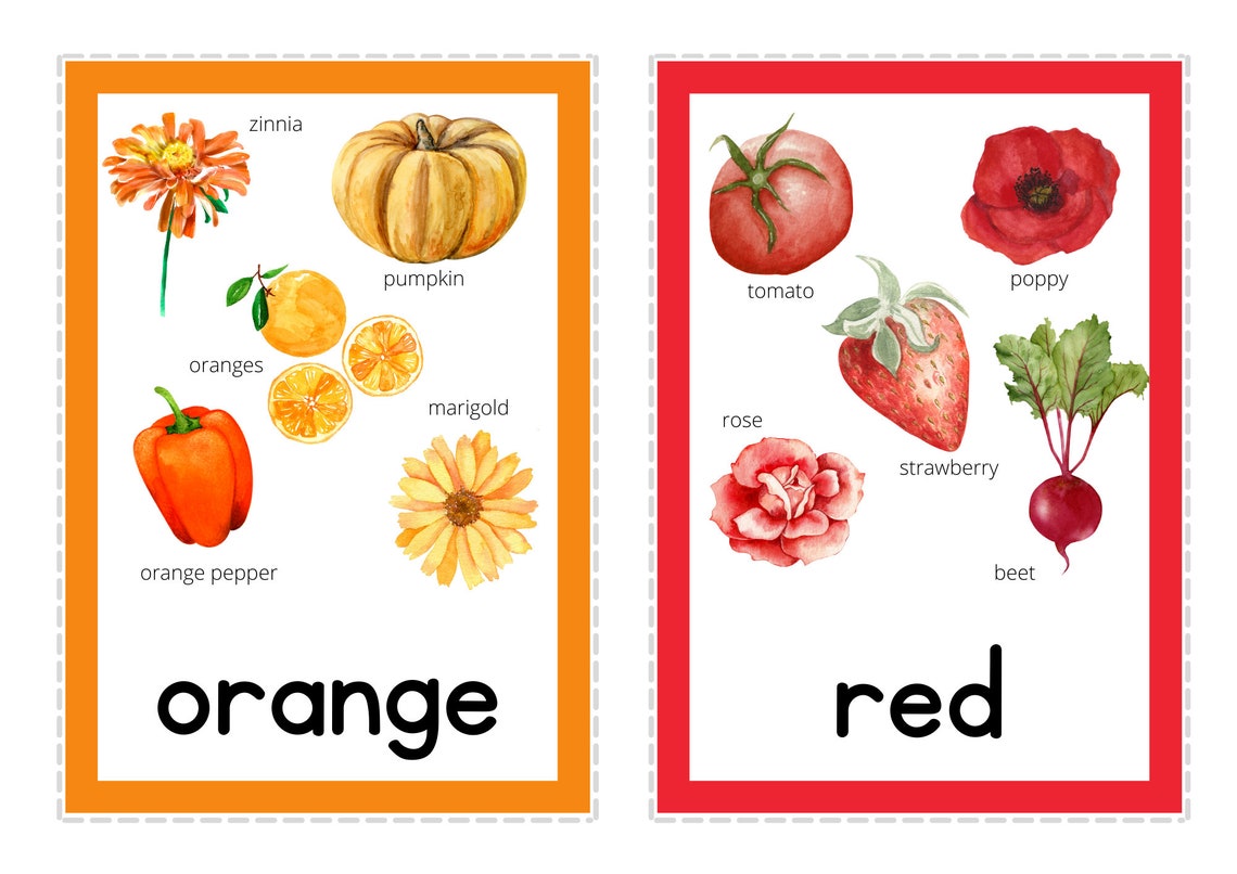 Garden Color Flashcards | Montessori Learning Posters (digital Download ...